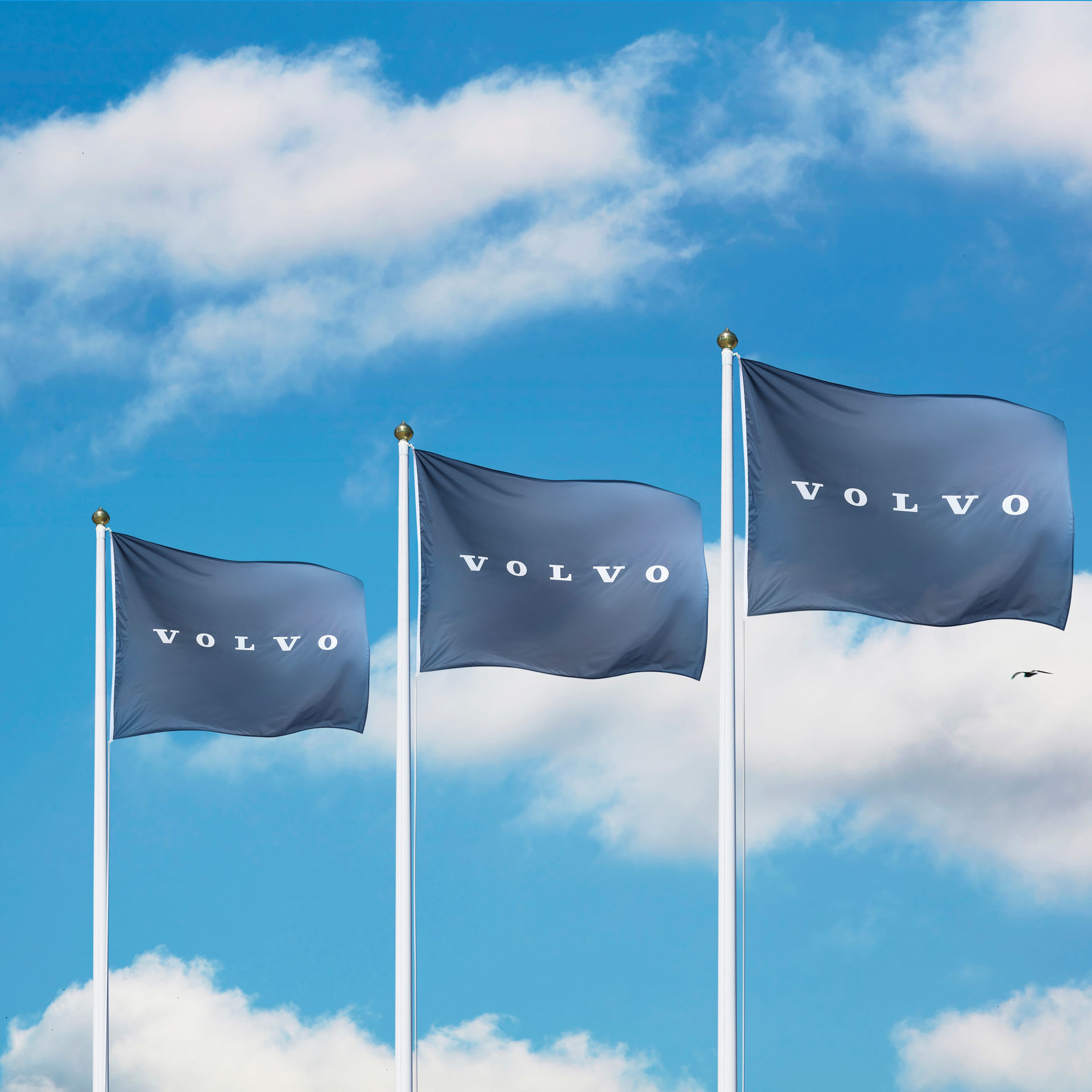 Volvo Merchandise. Volvo Word Mark Flag 1500